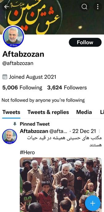 Iranian twitter and Instagram influence operation - Soleimanism